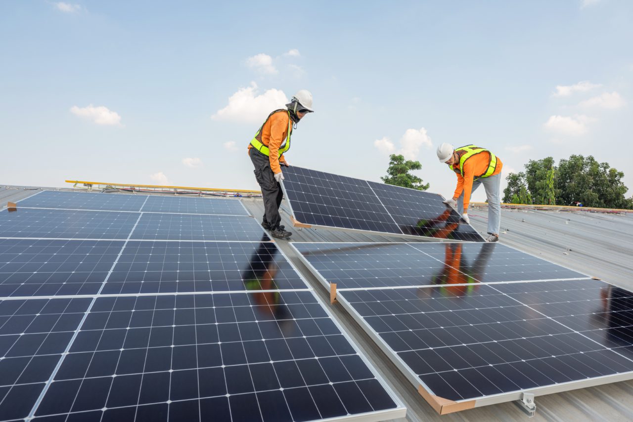 Tempo Partners With Aldi To Offer Residential Solar in NSW, Victoria ...